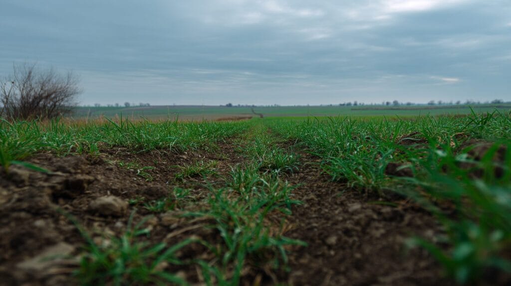 A Guide to Understanding Deed Restrictions on Land in Romania - Land ...